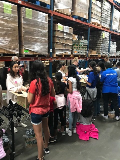 Progressive Pumps volunteer day | Progressive Pumps